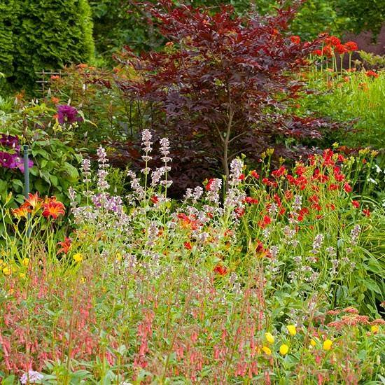Creating the best Color combinations in your flower garden | Outdoor ...